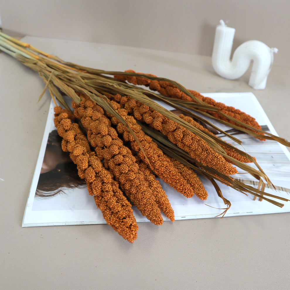 Dried Millets Rust Orange – Floral Forest Wholesale