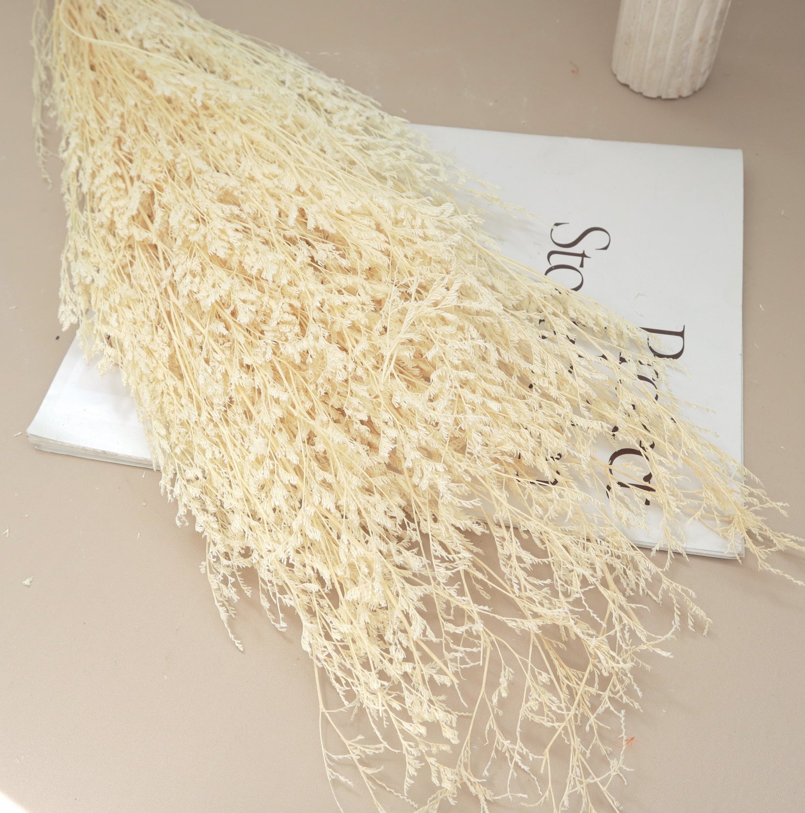 Misty Bleached Cream – Floral Forest Wholesale