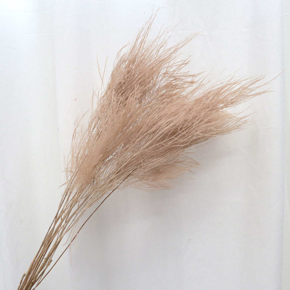 Tiki Fern Khaki – Floral Forest Wholesale