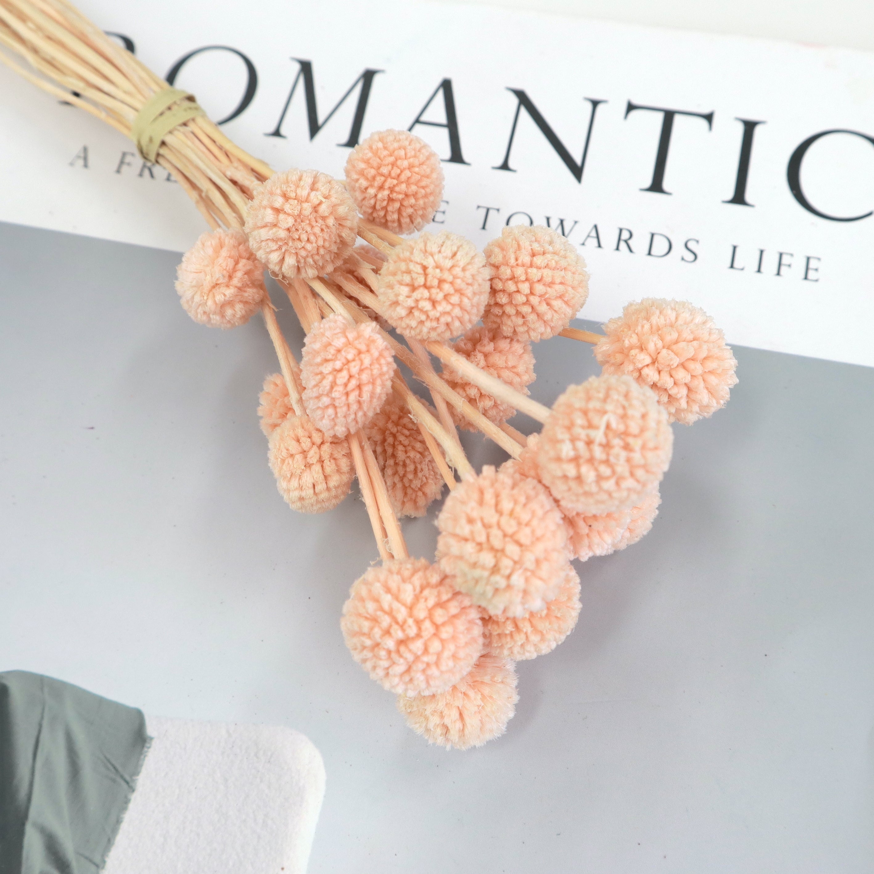 Billy Button – Floral Forest Wholesale