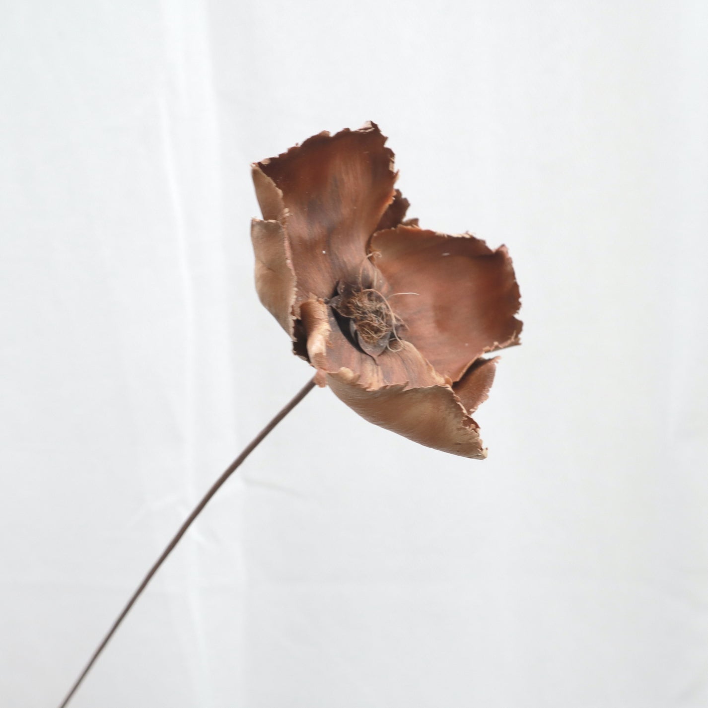 Palm Cap Natural – Floral Forest Wholesale