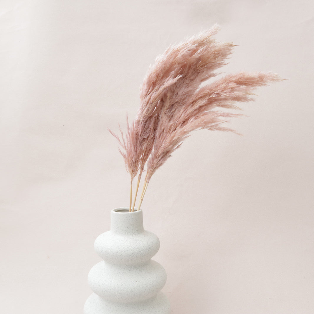 Giant Reeds – Floral Forest Wholesale