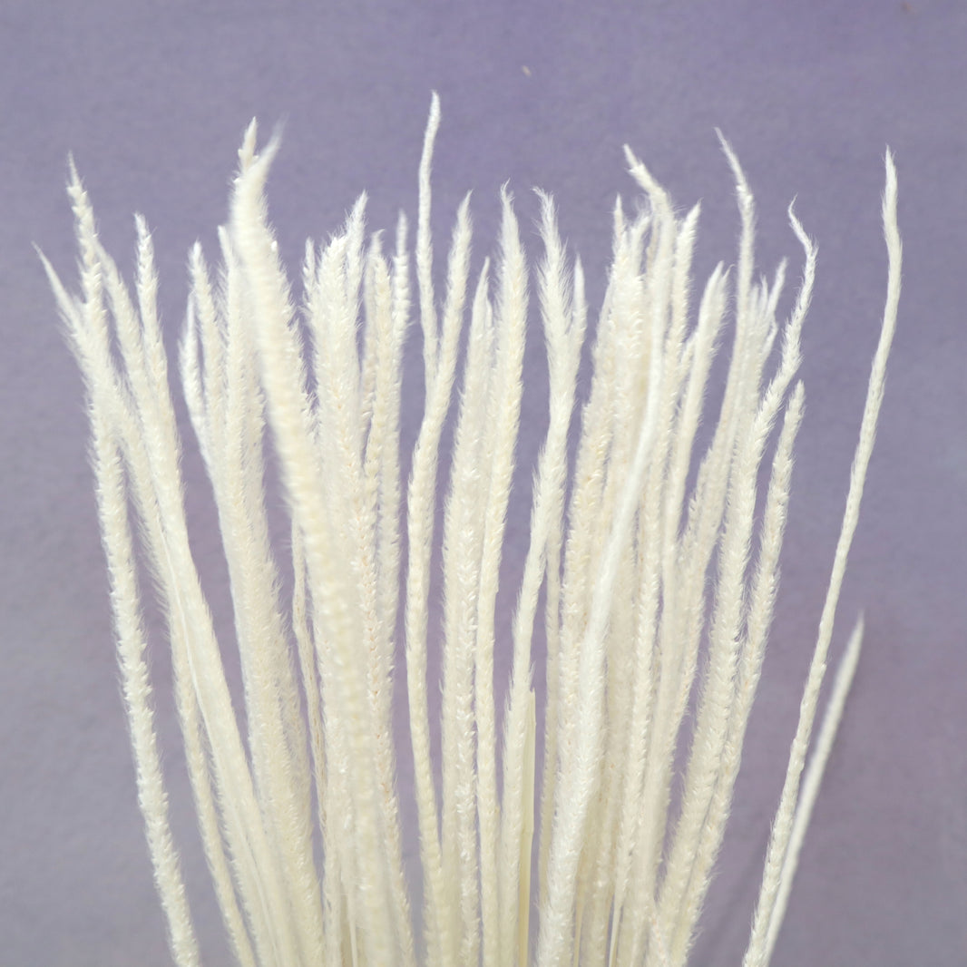 Fluffy Stick – Floral Forest Wholesale