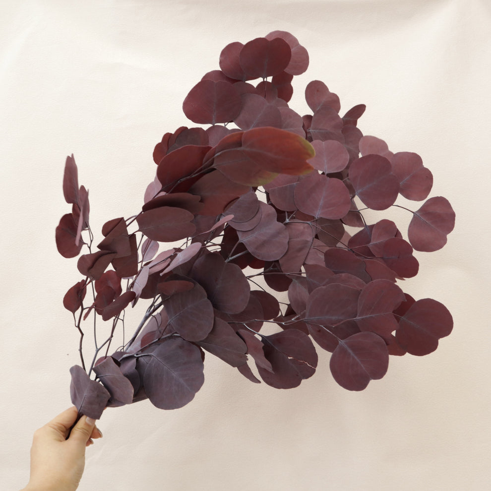 Poly Gum Dark Red – Floral Forest Wholesale