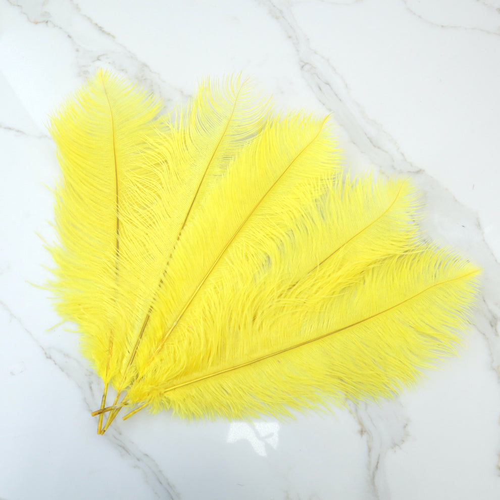 5 pcs Ostrich Feathers Yellow – Floral Forest Wholesale