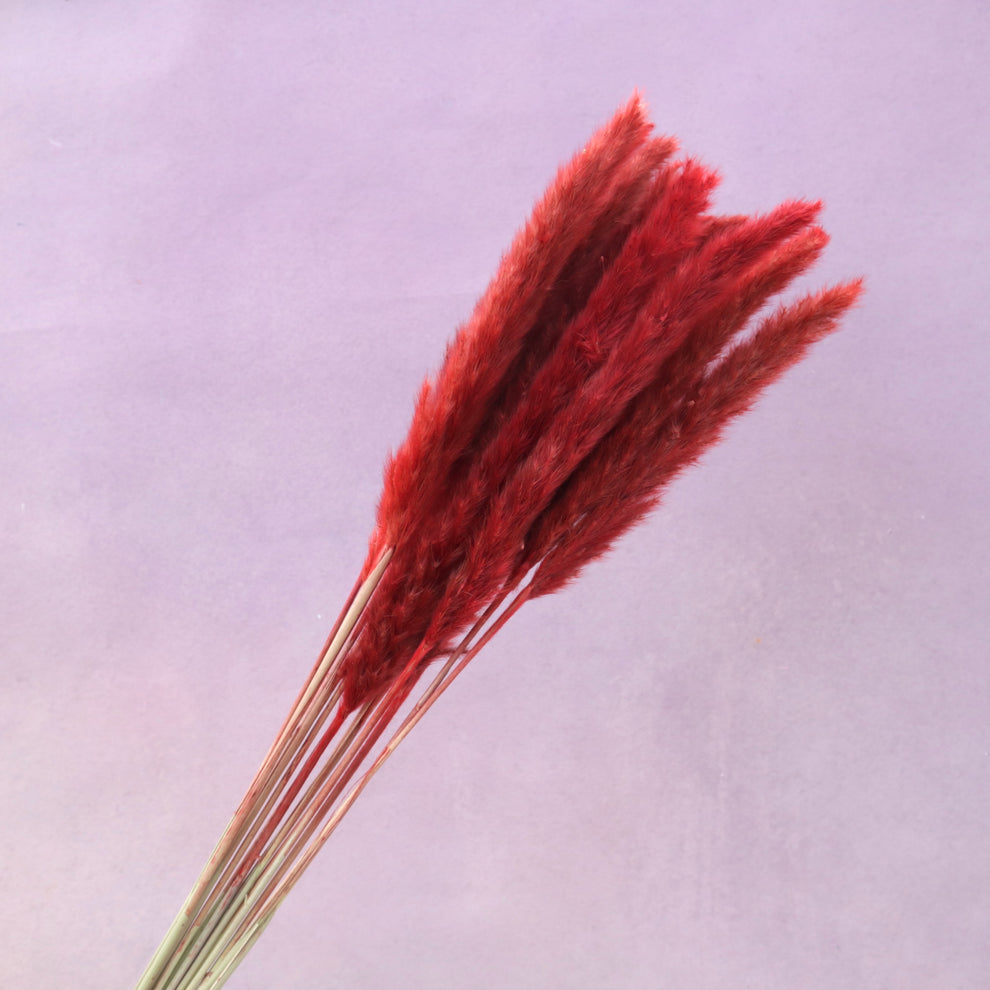 Fluffy Stick Red – Floral Forest Wholesale