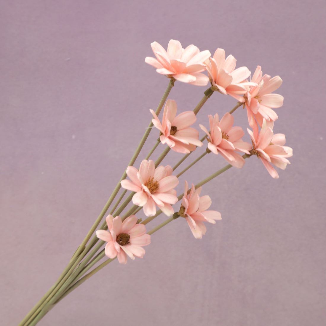 Handmade Daisy Pink – Floral Forest Wholesale