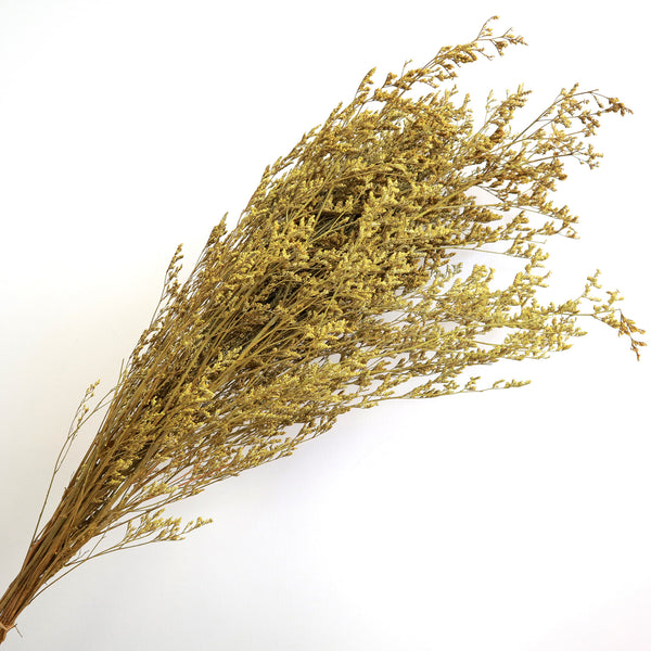 Misty Yellow – Floral Forest Wholesale