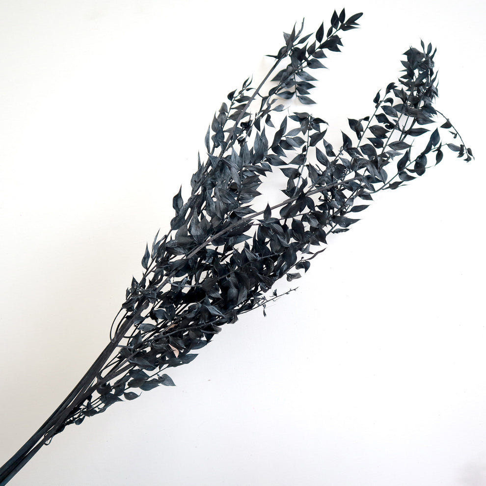 Italian Ruscus Sprayed Black – Floral Forest Wholesale